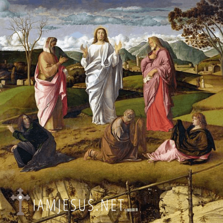 Scriptural Rosary for Priests: Pray the Luminous Mysteries