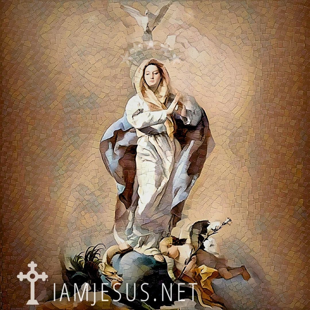 Totus Tuus Prayer to the Immaculate Conception – I Am Jesus