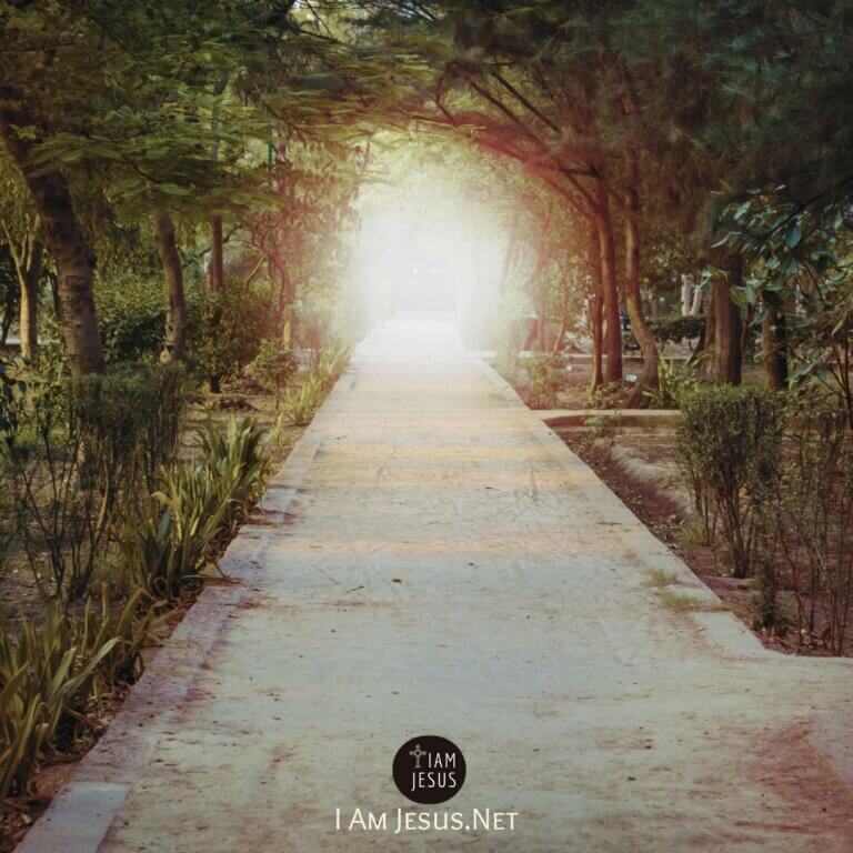 Help Me Take The Right Path and Not Stumble – I Am Jesus